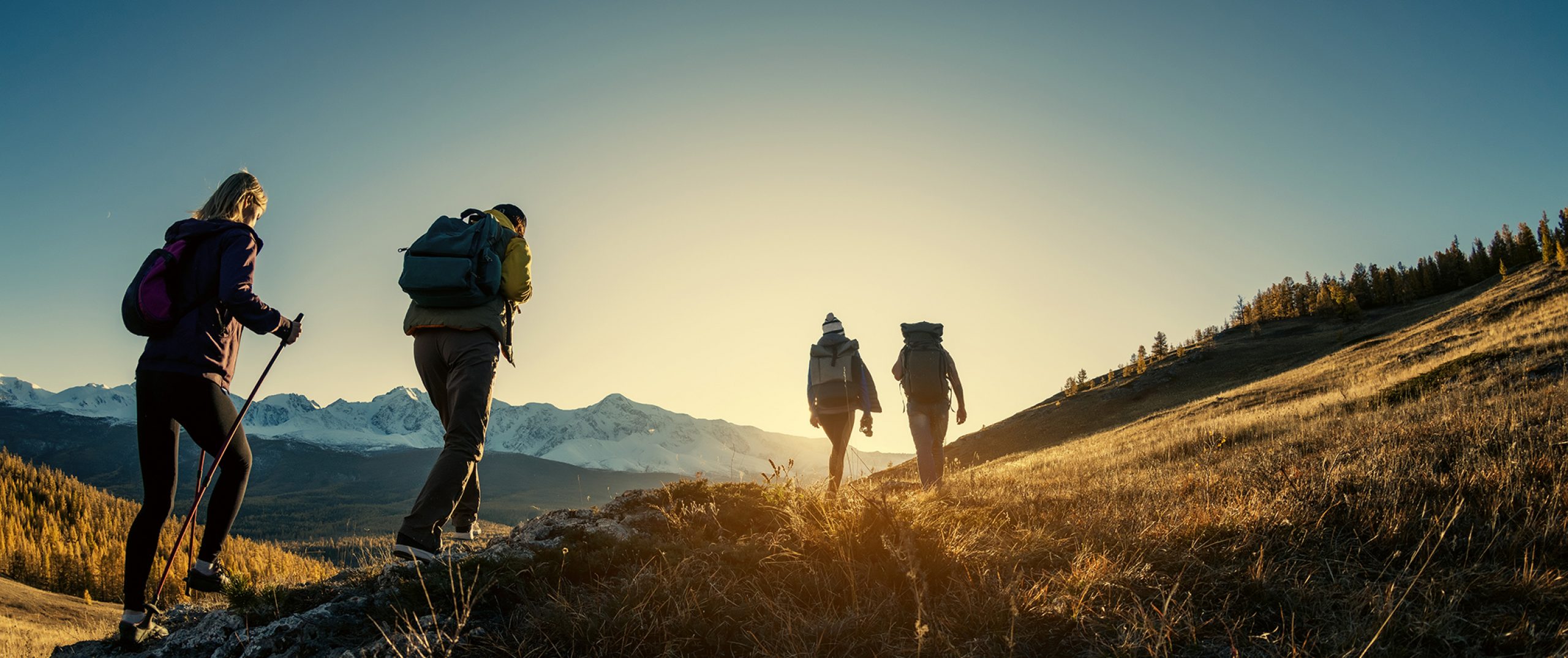 Support Teams Defined – Community Support Teams